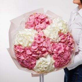 Meniny Dominik, Dominika - význam mena - 4. august